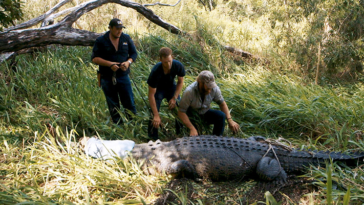 Monster Croc Wrangler